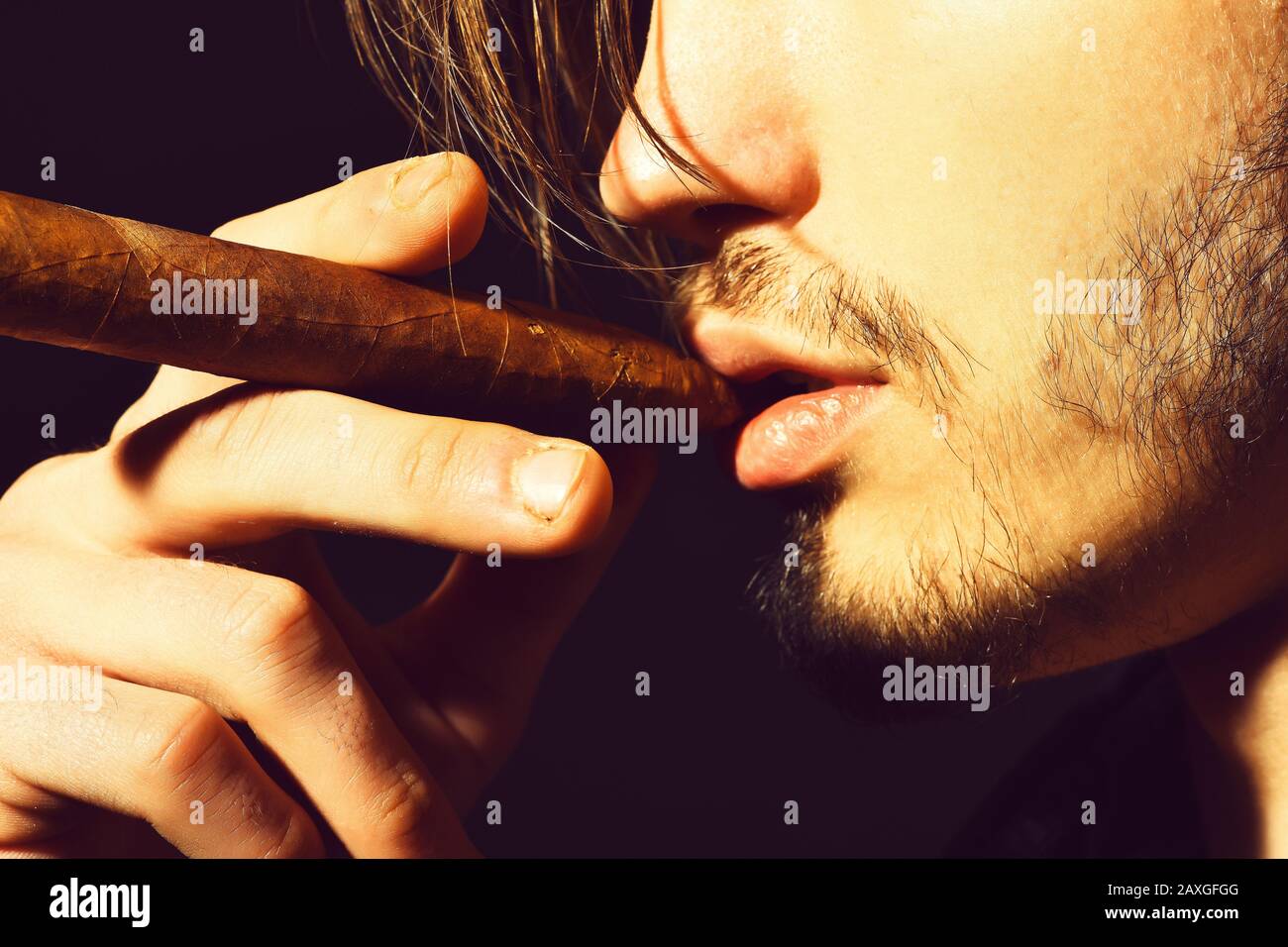 Hand holding cigar in black hi-res stock photography and images - Alamy