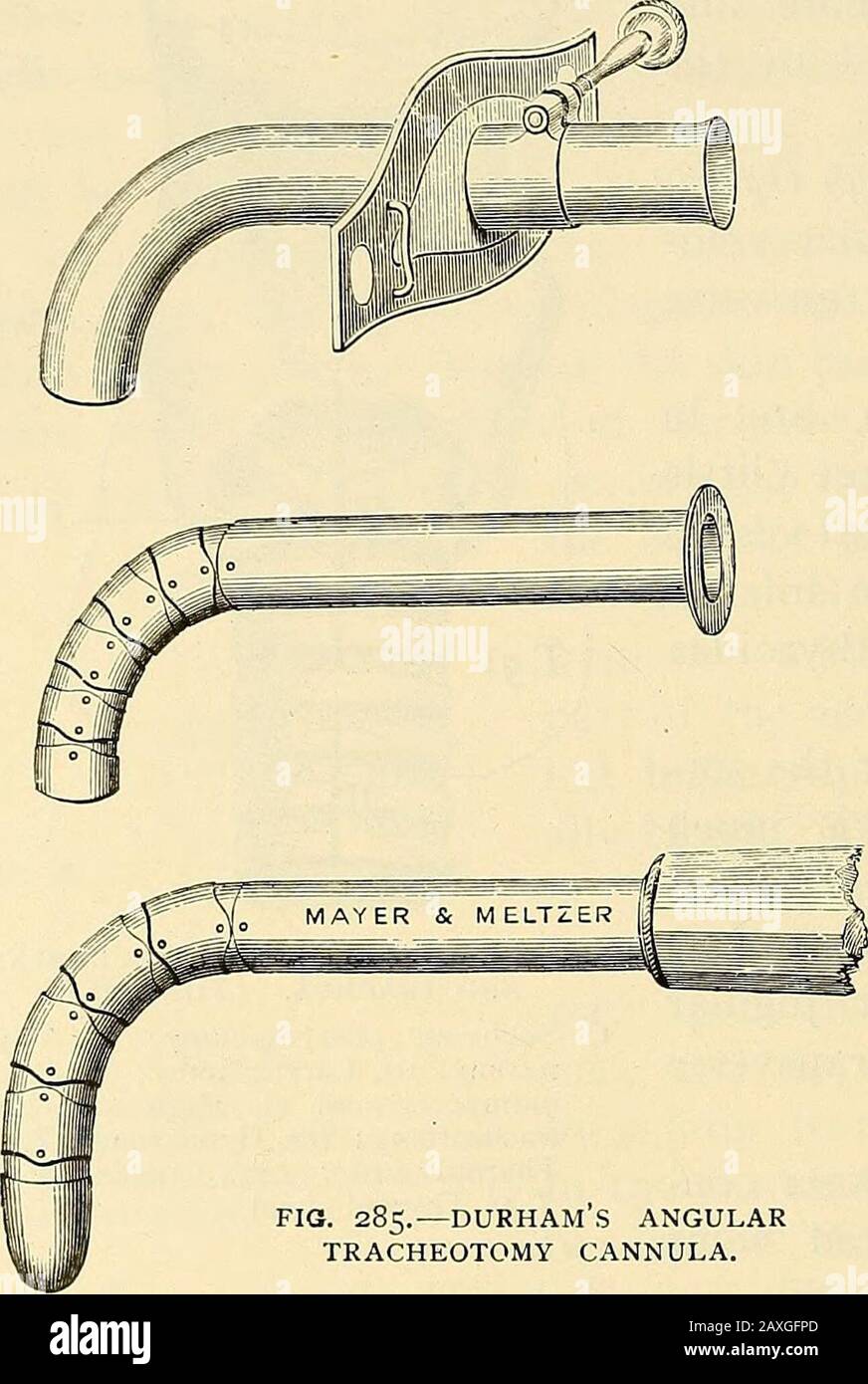 Toothed forceps hi-res stock photography and images - Alamy
