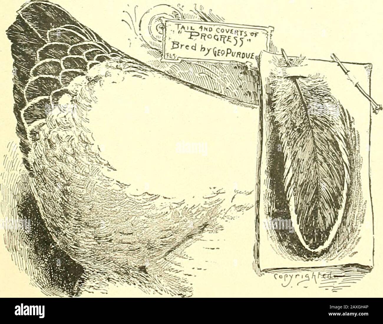 George sewell george sewell hi-res stock photography and images - Alamy