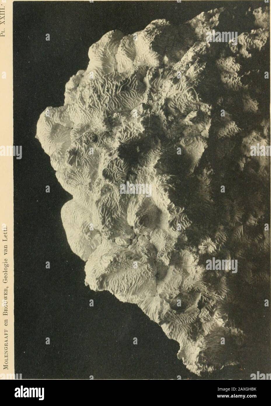 Droog klimaat hi-res stock photography and images - Alamy