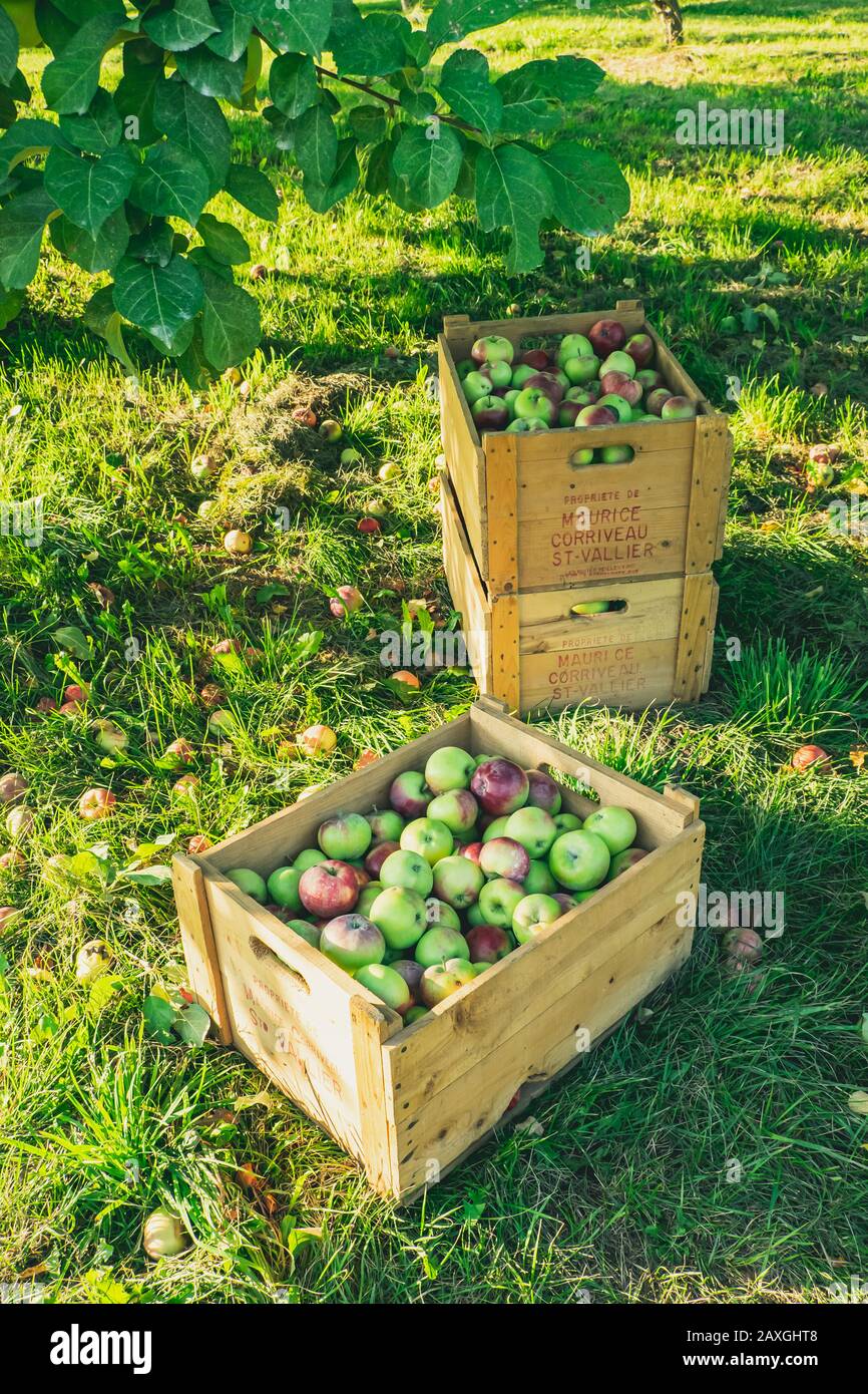 Apple house in Quebec City, Canada Stock Photo - Alamy