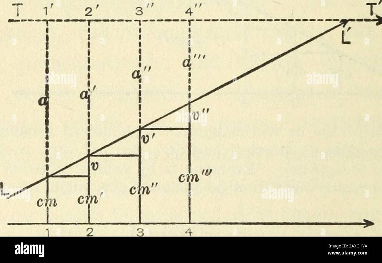 Lamarckism hi-res stock photography and images - Alamy