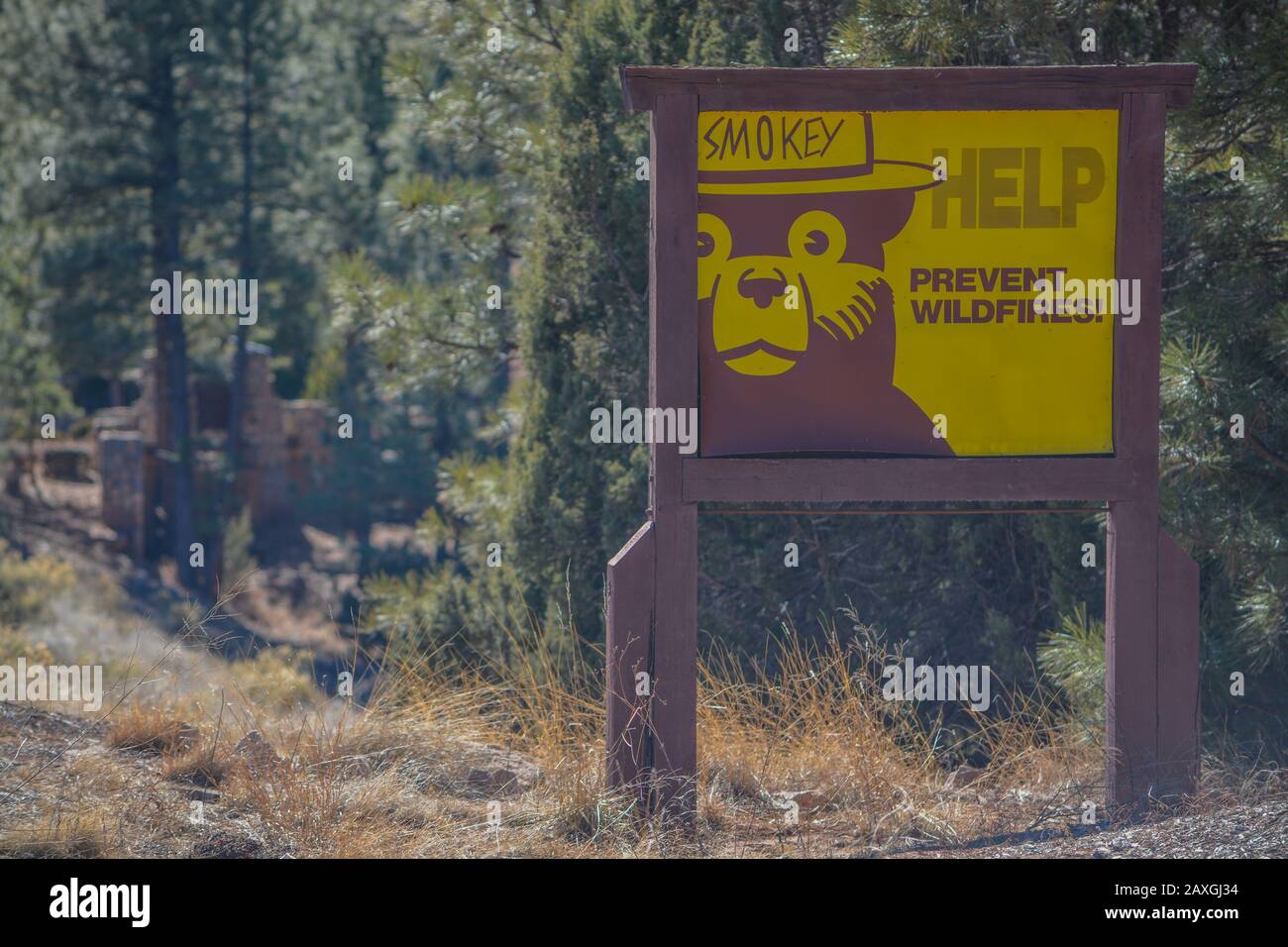 Help Smokey the Bear prevent wildfires sign. In Sitgreaves National ...