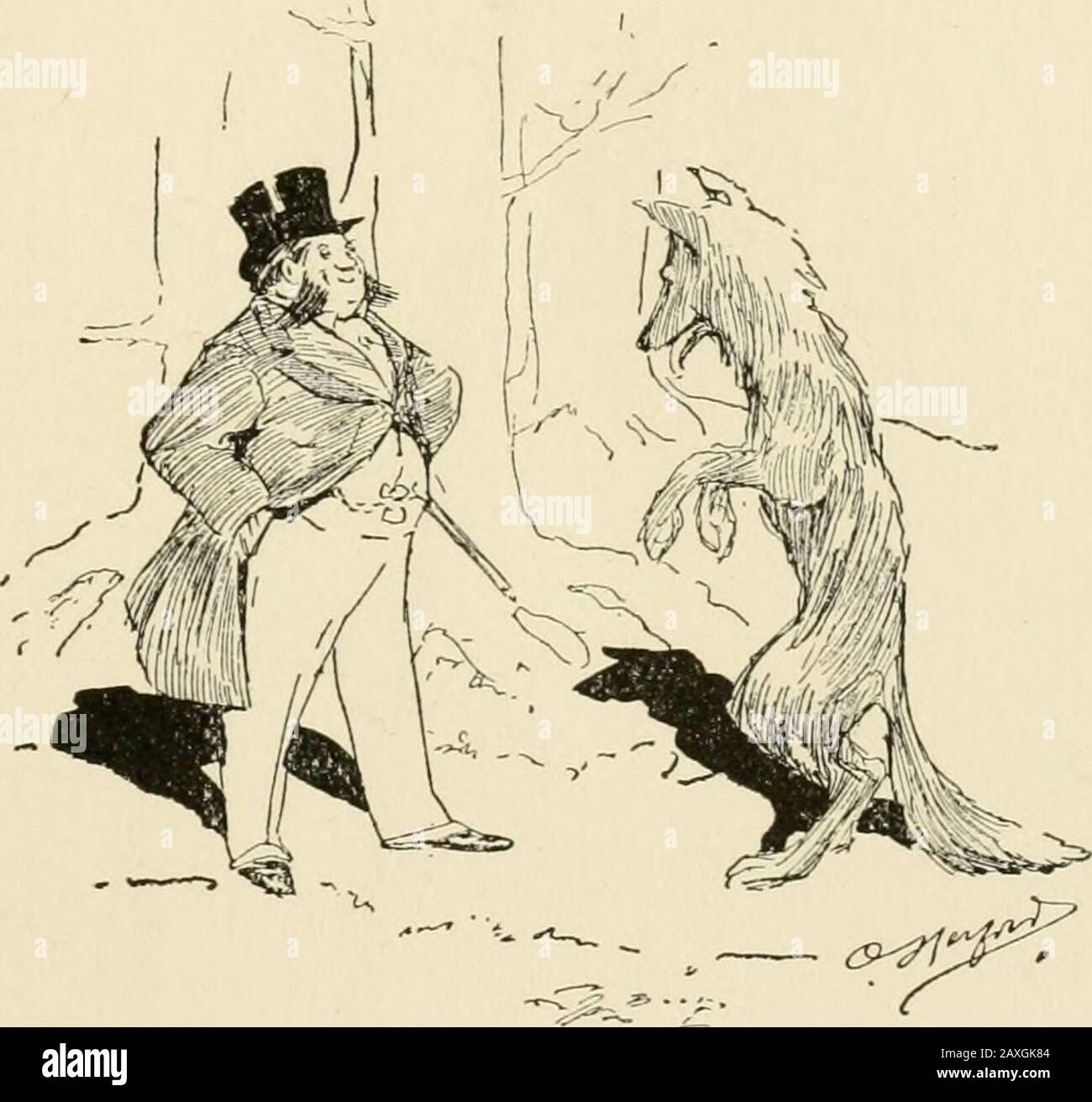 Lean wolf hi-res stock photography and images - Alamy