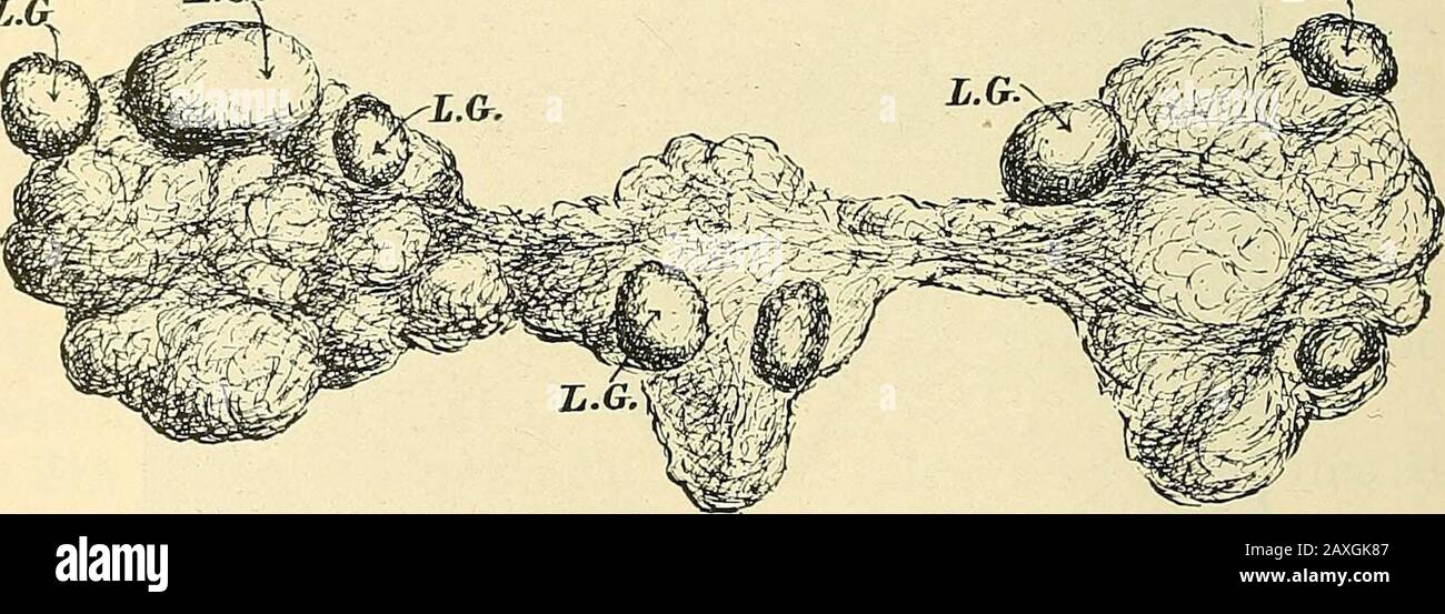 Submental space hi-res stock photography and images - Alamy