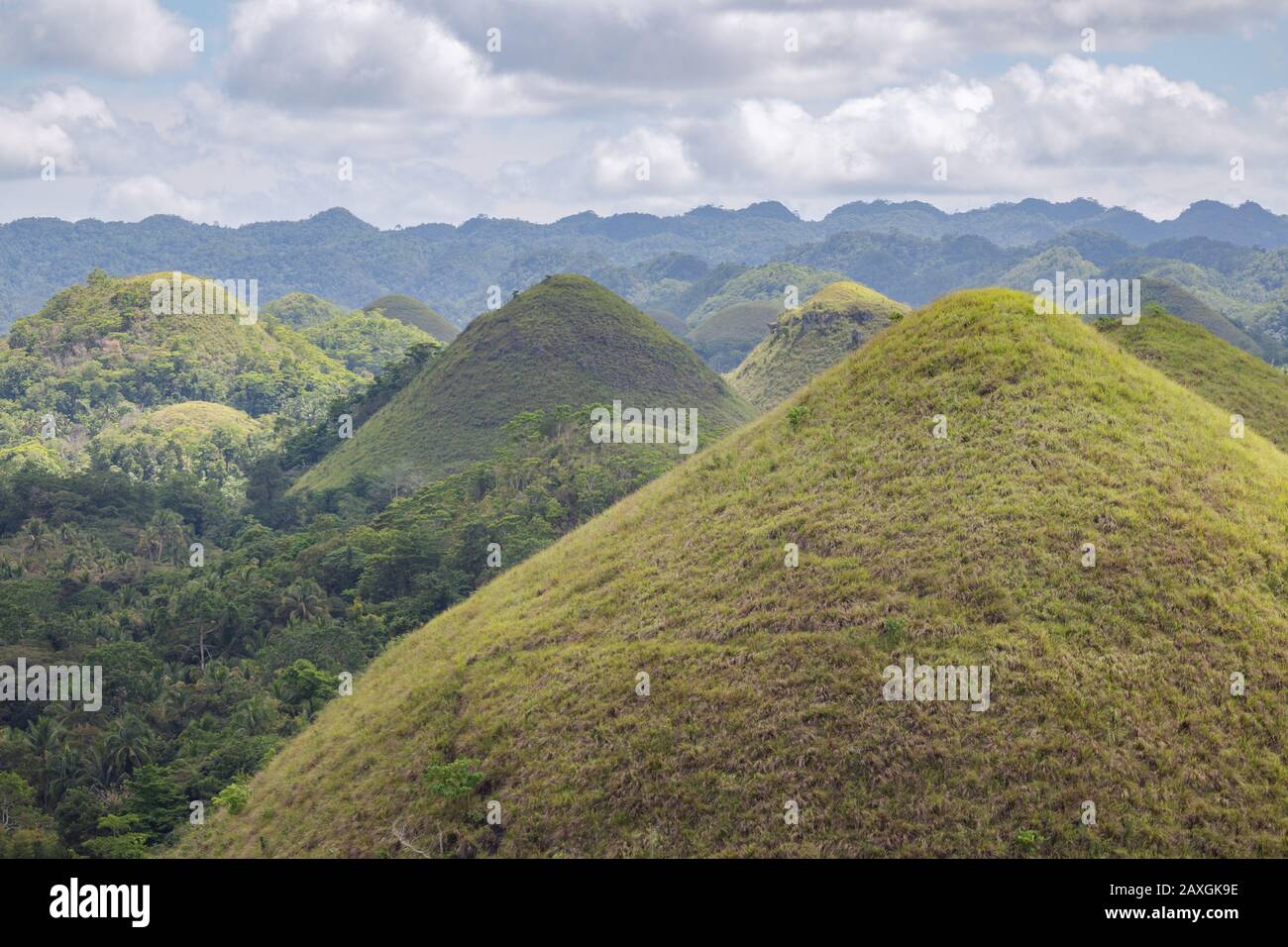Landscape of Chocolate Hills, Bohol's most famous tourist attraction ...