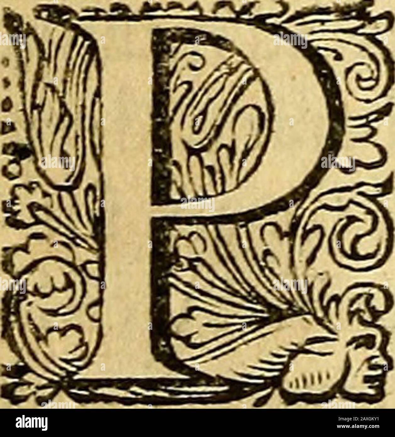 Illos hi-res stock photography and images - Alamy