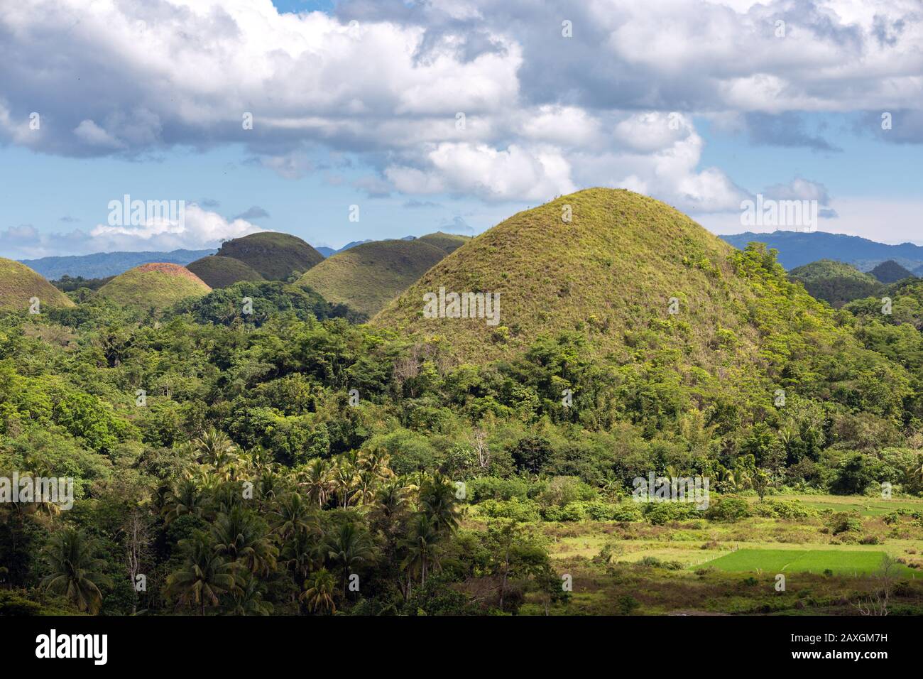 Landscape of Chocolate Hills, Bohol's most famous tourist attraction ...