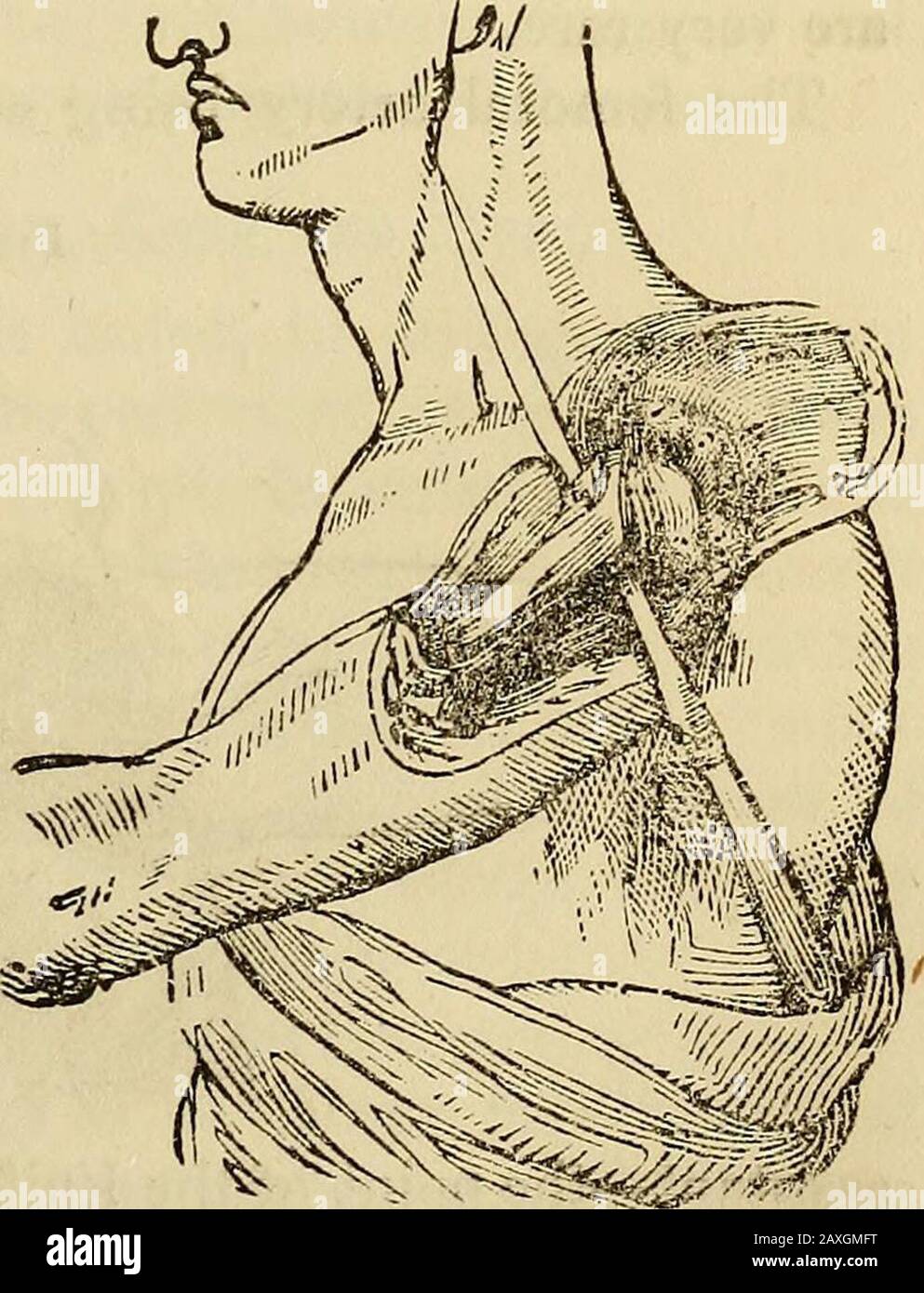 Lectures on the American eclectic system of surgery . ho also sustain ...