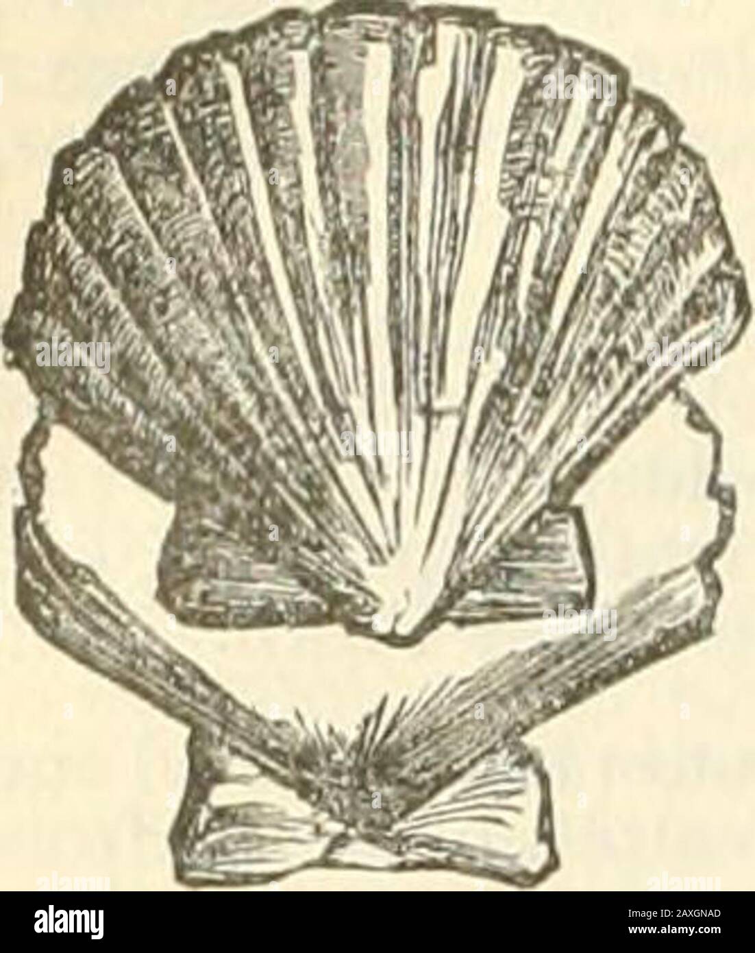 Chambers's encyclopaedia; a dictionary of universal knowledge for the ...