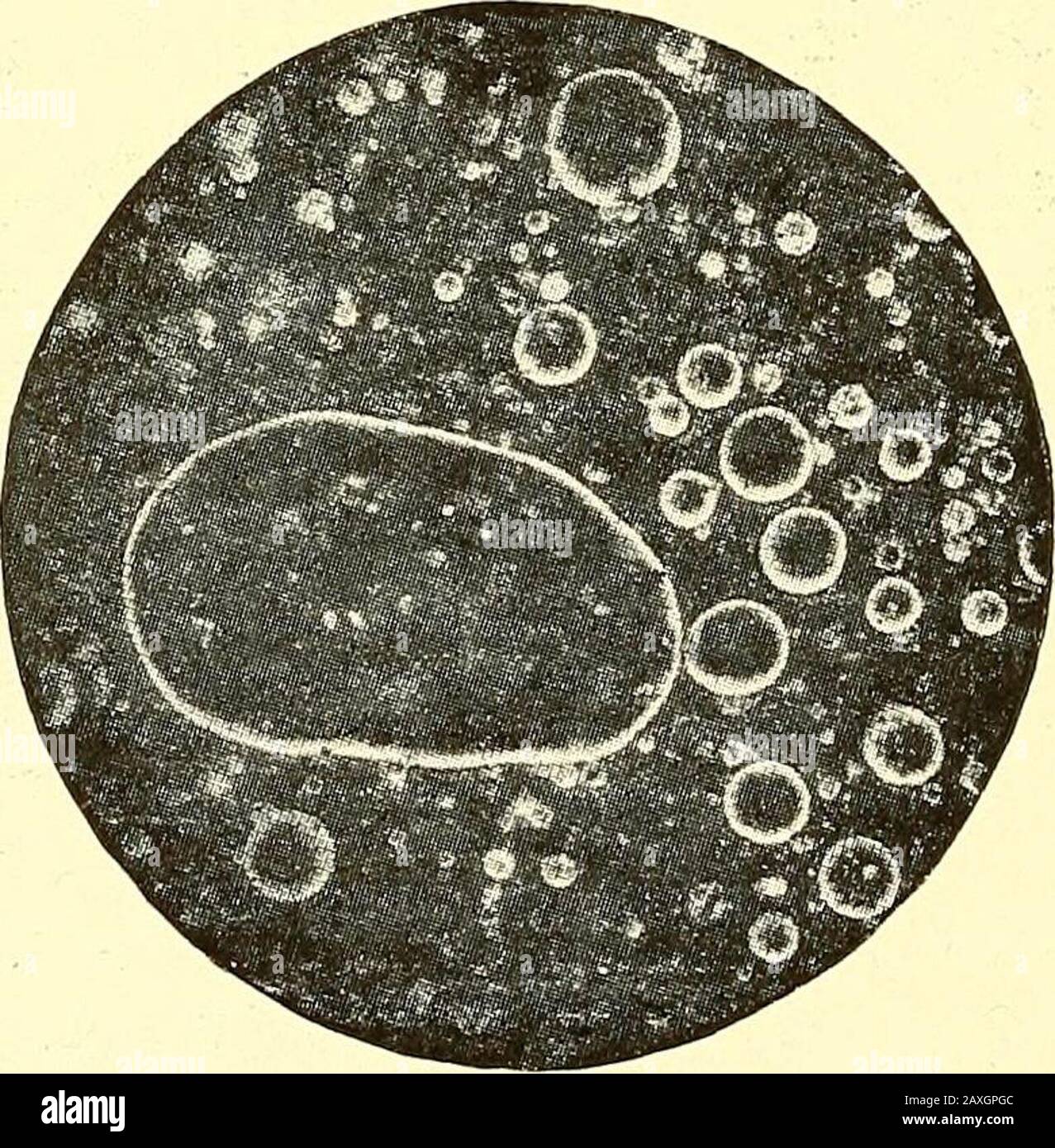 Minute components hi-res stock photography and images - Alamy