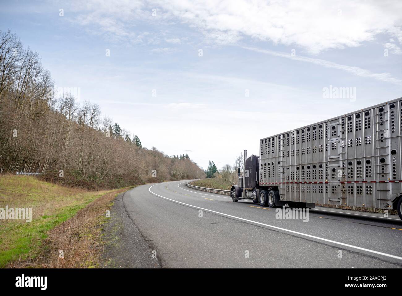 Dark Big Rig Classic Bonnet Diesel Semi Truck with Vertical Chrome ...