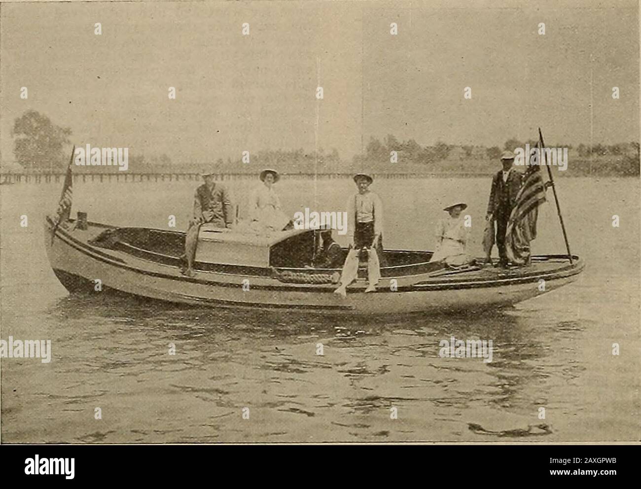 Long finned eels hi-res stock photography and images - Alamy