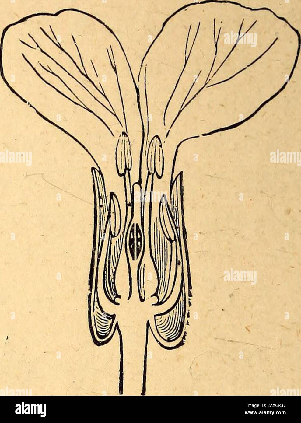 Retains form hi-res stock photography and images - Alamy