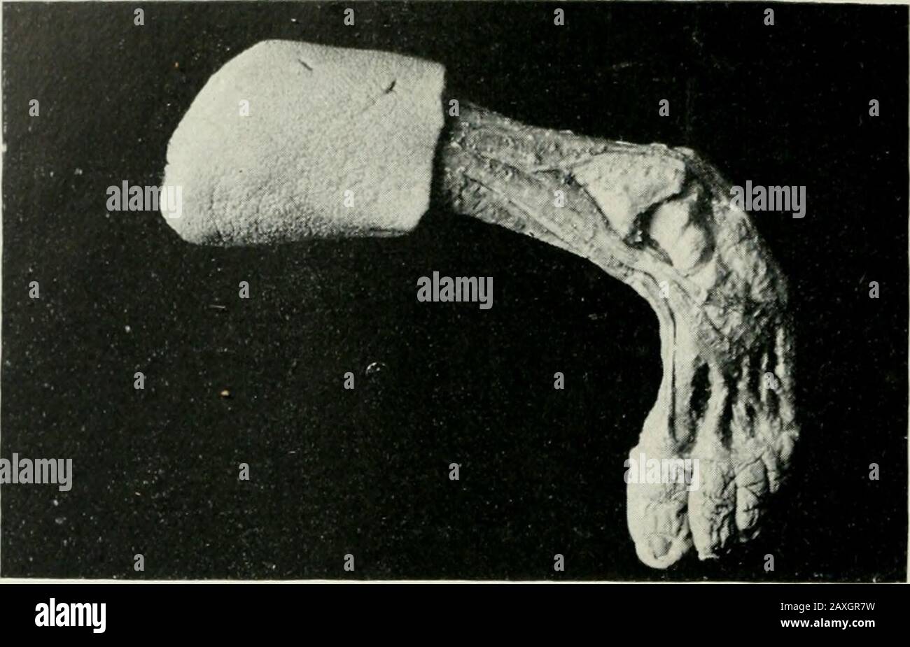 Actual chisel hi-res stock photography and images - Alamy