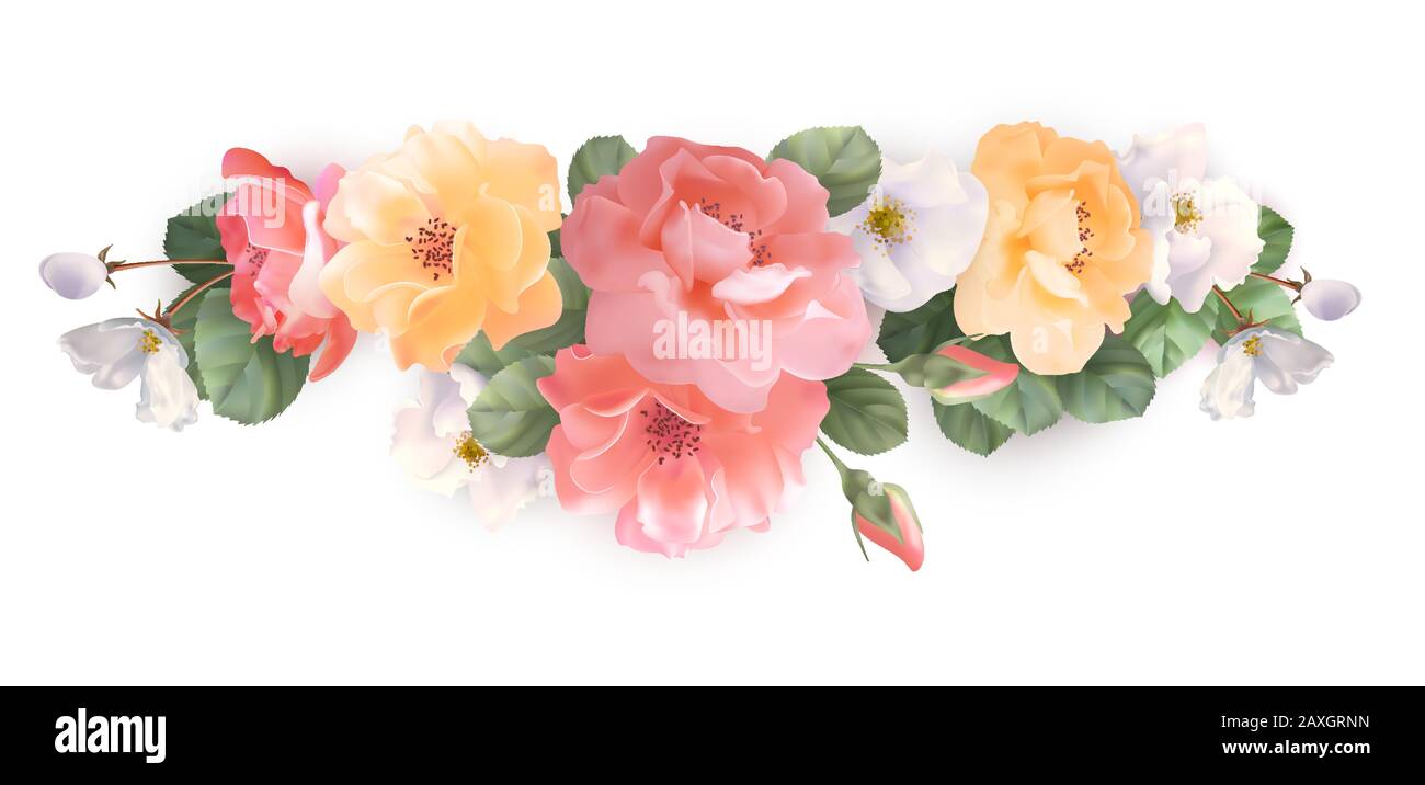 Decorative Flower Border Stock Vector Image & Art - Alamy