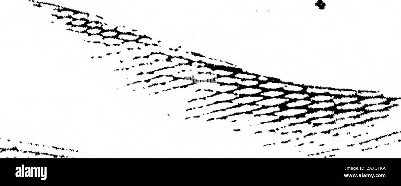 Bookdecade1750 Cut Out Stock Images & Pictures - Alamy