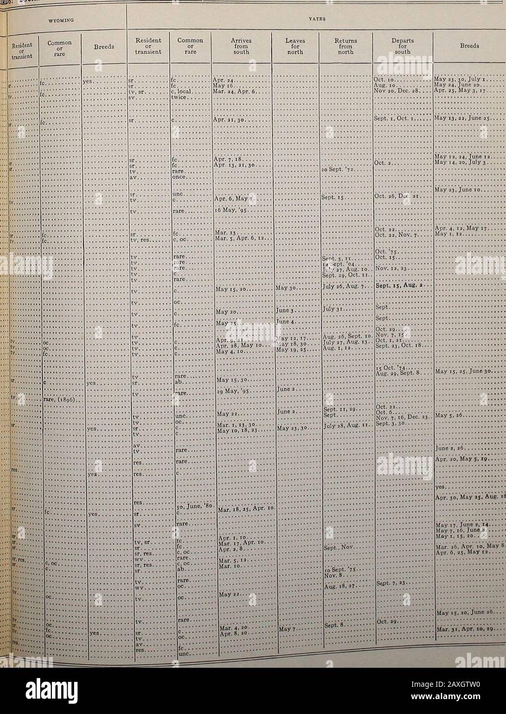 Ring tailed hawk hi-res stock photography and images - Alamy