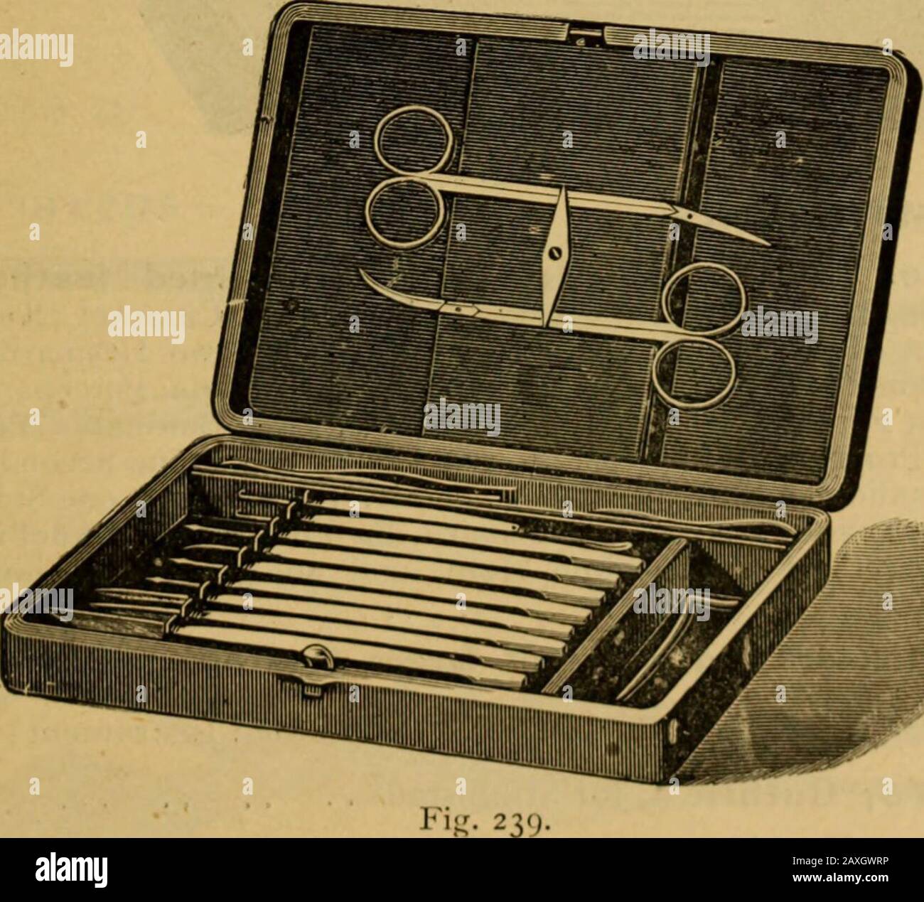 Eyelid retractor hi-res stock photography and images - Alamy