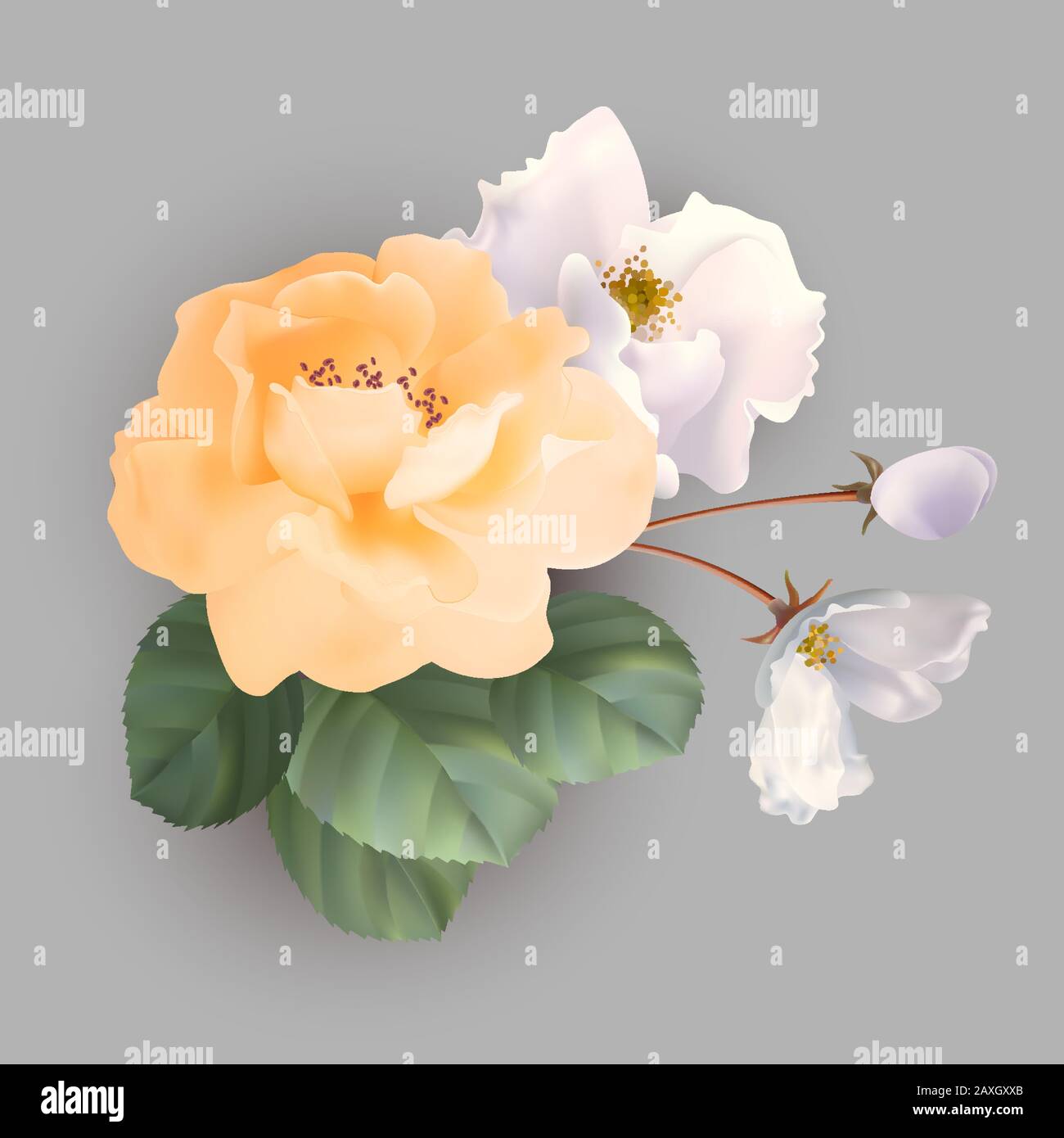 Bouquet of roses Stock Vector Image & Art - Alamy