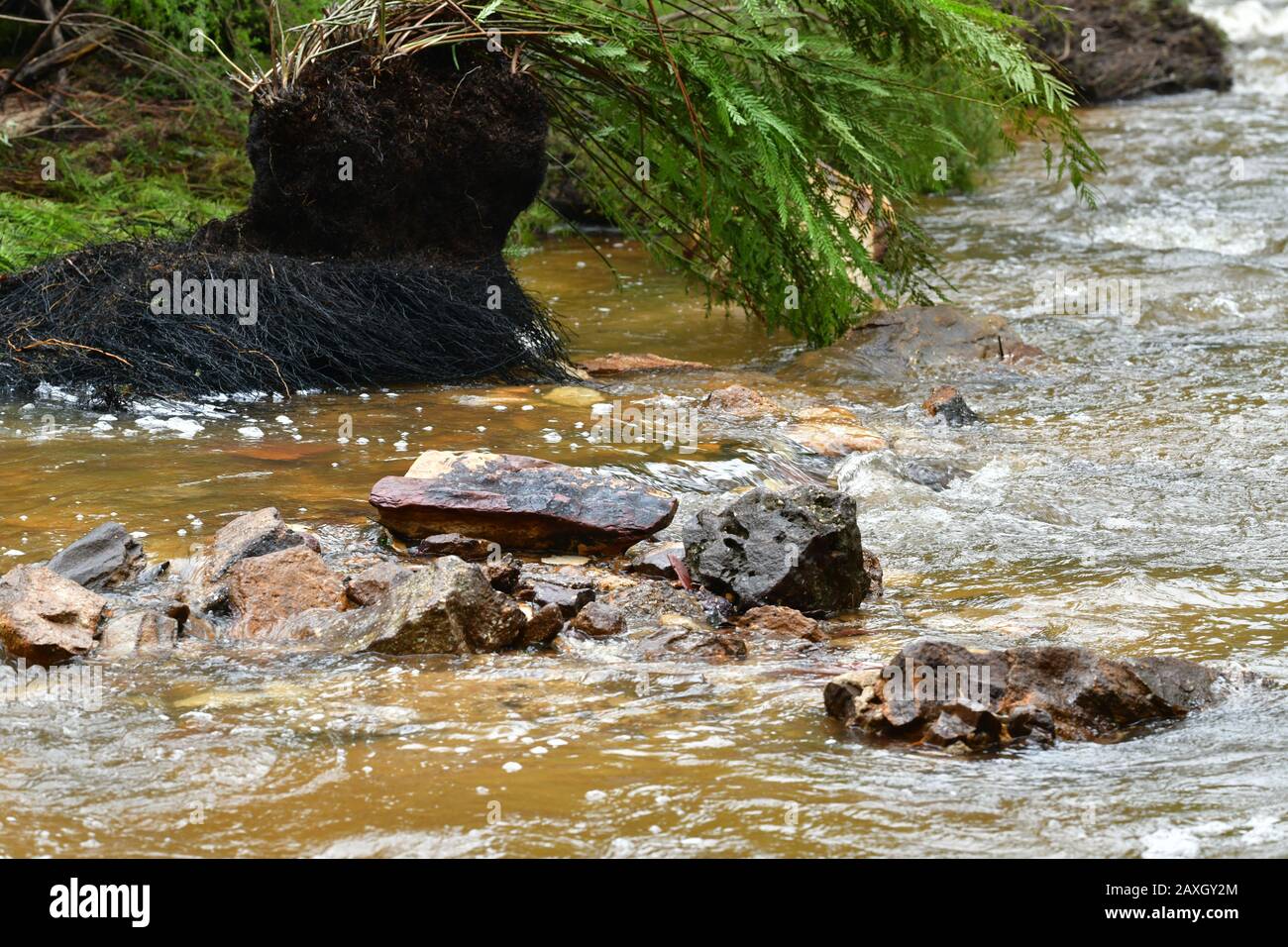 Generic brook hi-res stock photography and images - Alamy