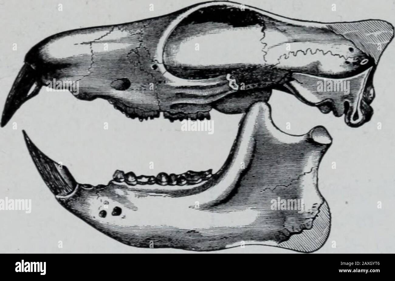 Slight degree hi-res stock photography and images - Alamy