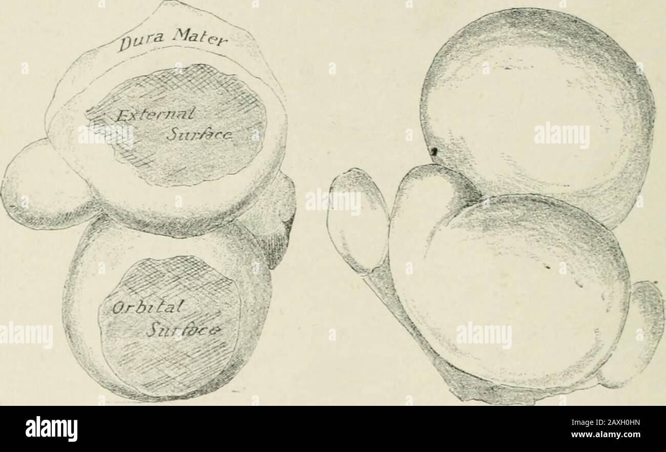 Arthur booth hi-res stock photography and images - Alamy