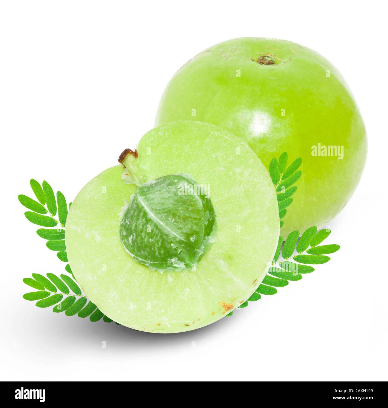 Amla green fruits ,Phyllanthus emblica isolated on white background ...