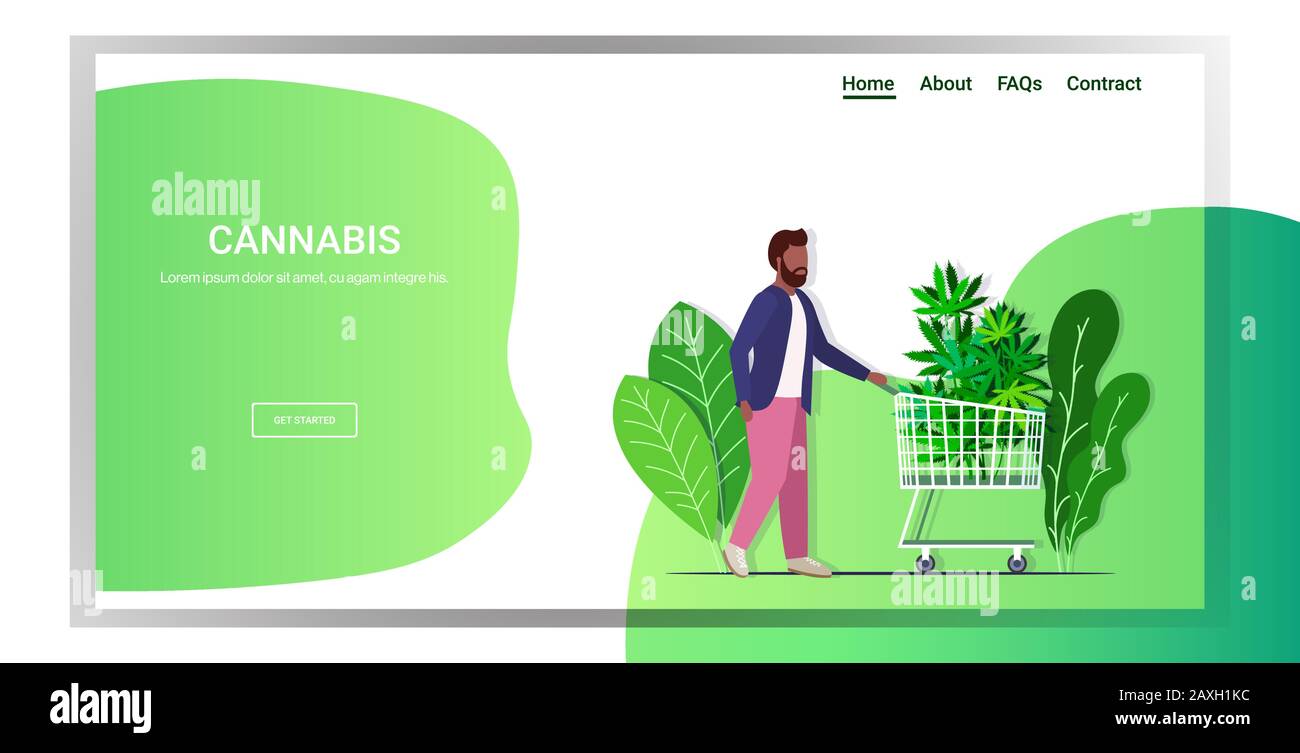 man pushing shopping cart with cannabis marijuana leaves hemp plant ...