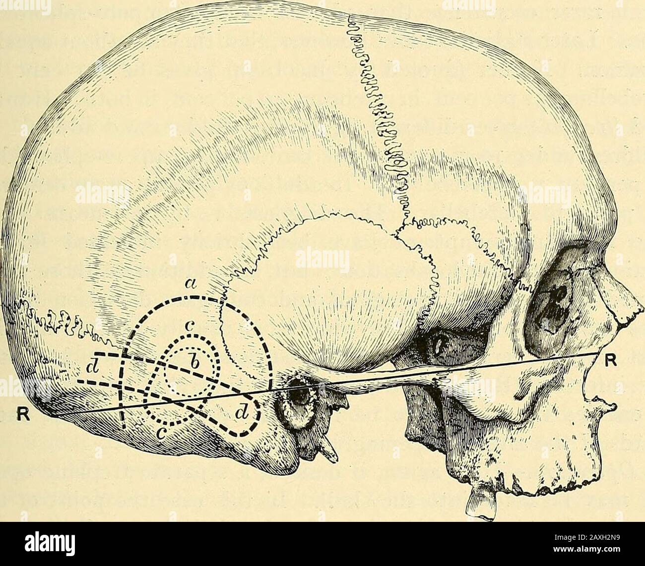 Materis hi-res stock photography and images - Alamy