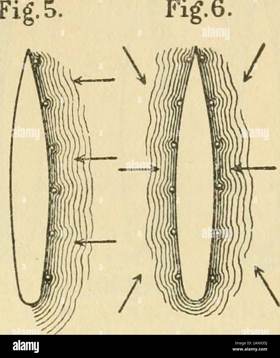 Newfoundland and the Labrador coast, 1909 . Running before a gale ...