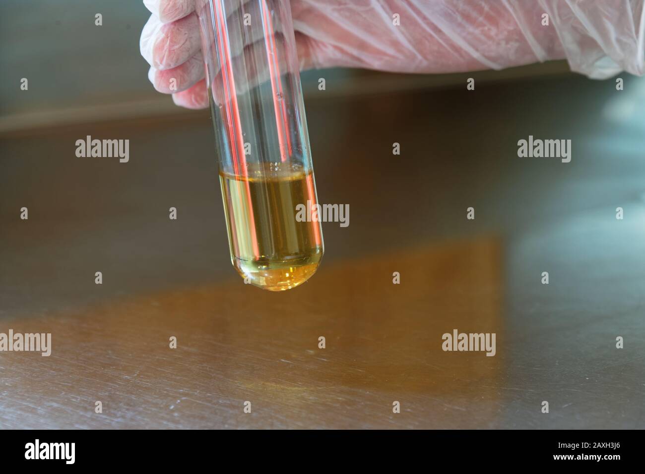 Lab, test tube analyze hi-res stock photography and images - Alamy