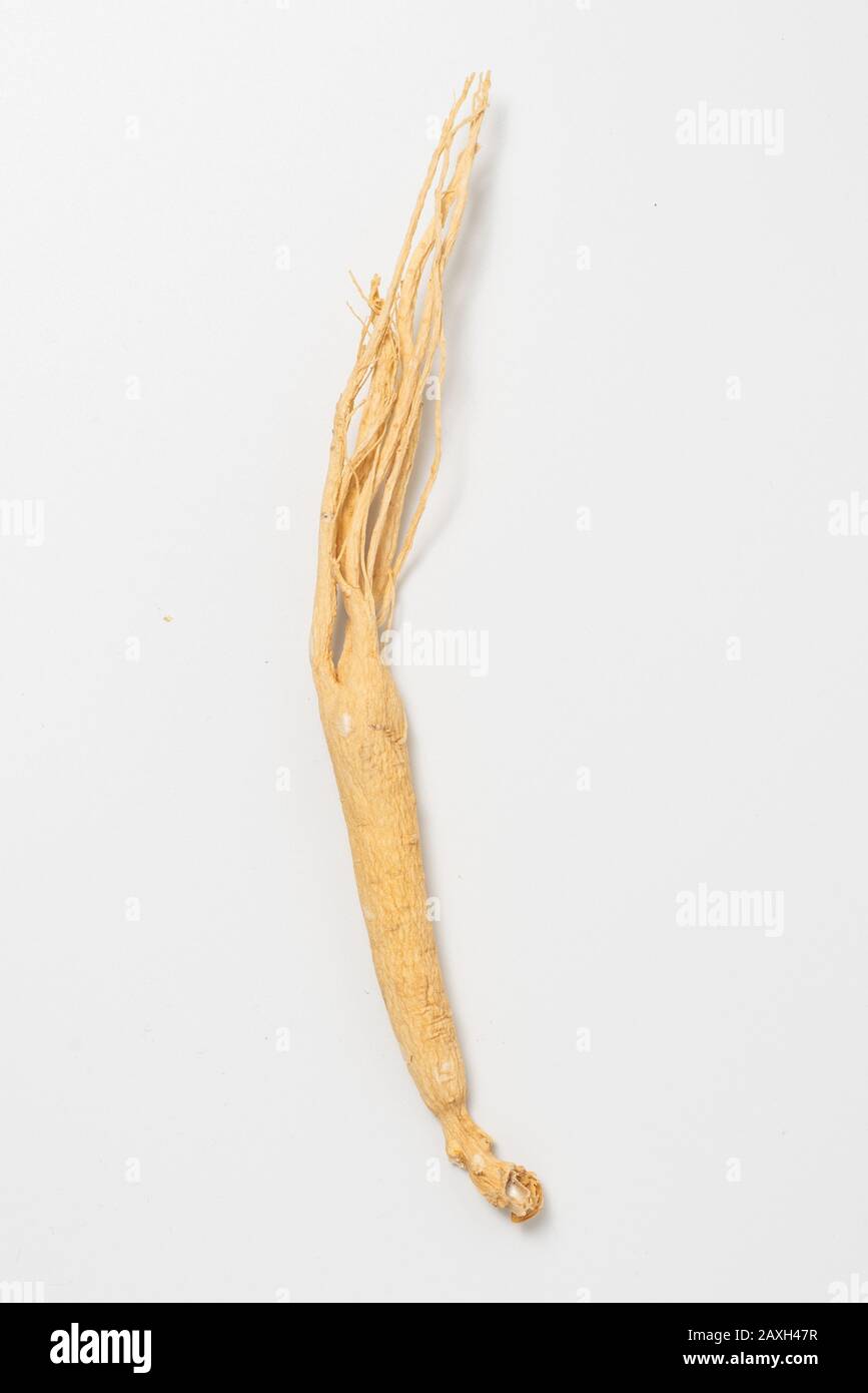 Natural Chinese Ginseng on white background Stock Photo - Alamy