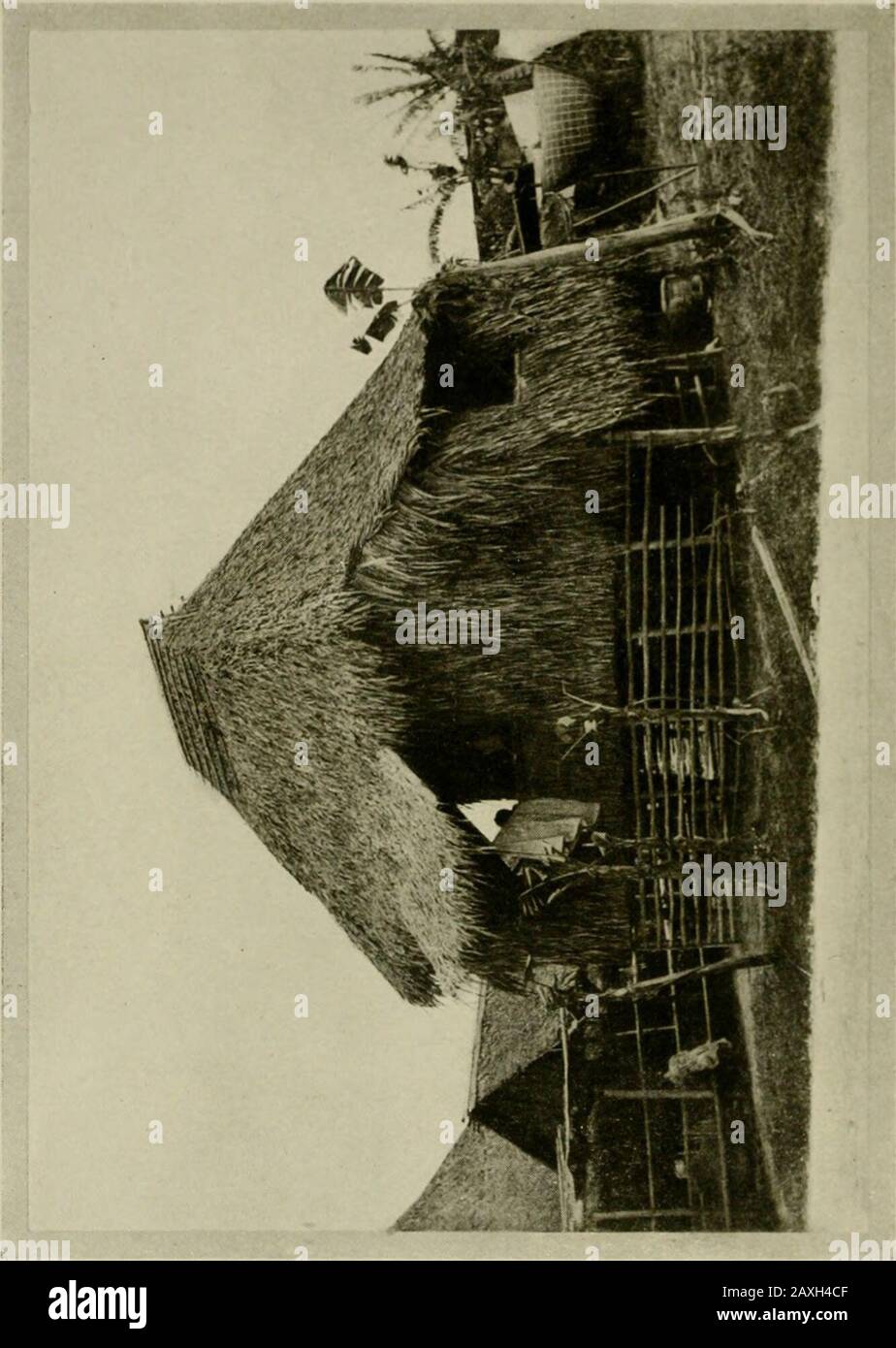 Carabao cart hi-res stock photography and images - Alamy