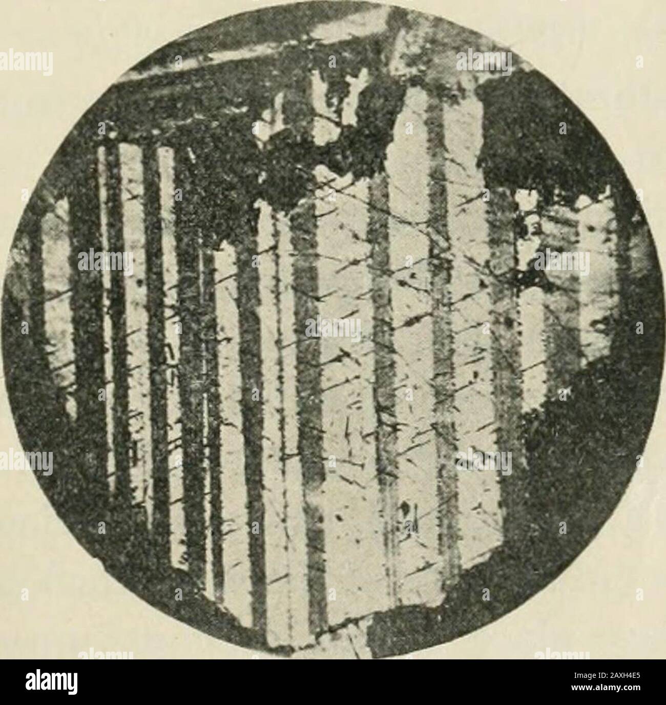 Plagioclase Microscope