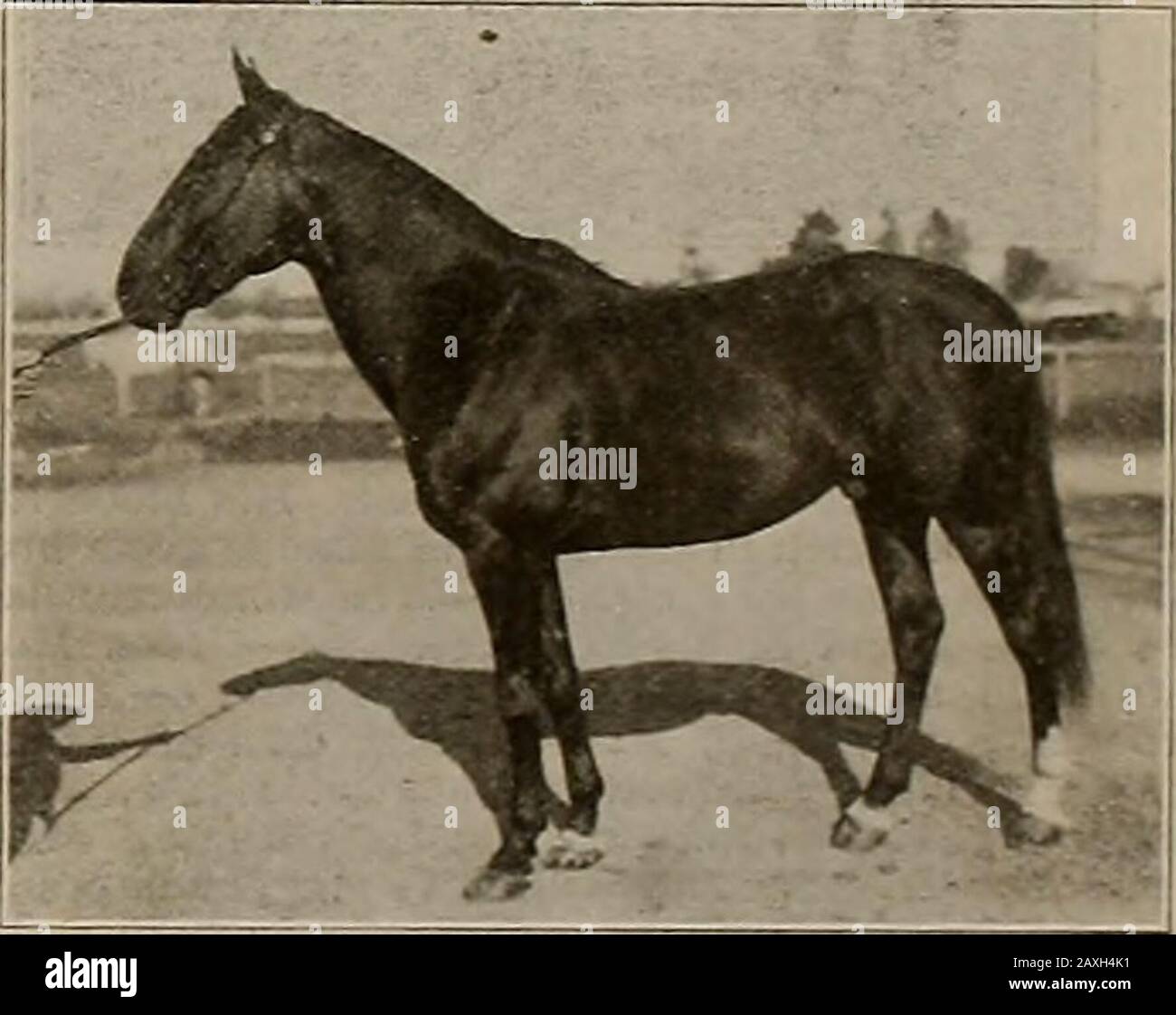 Sire records hi-res stock photography and images - Alamy