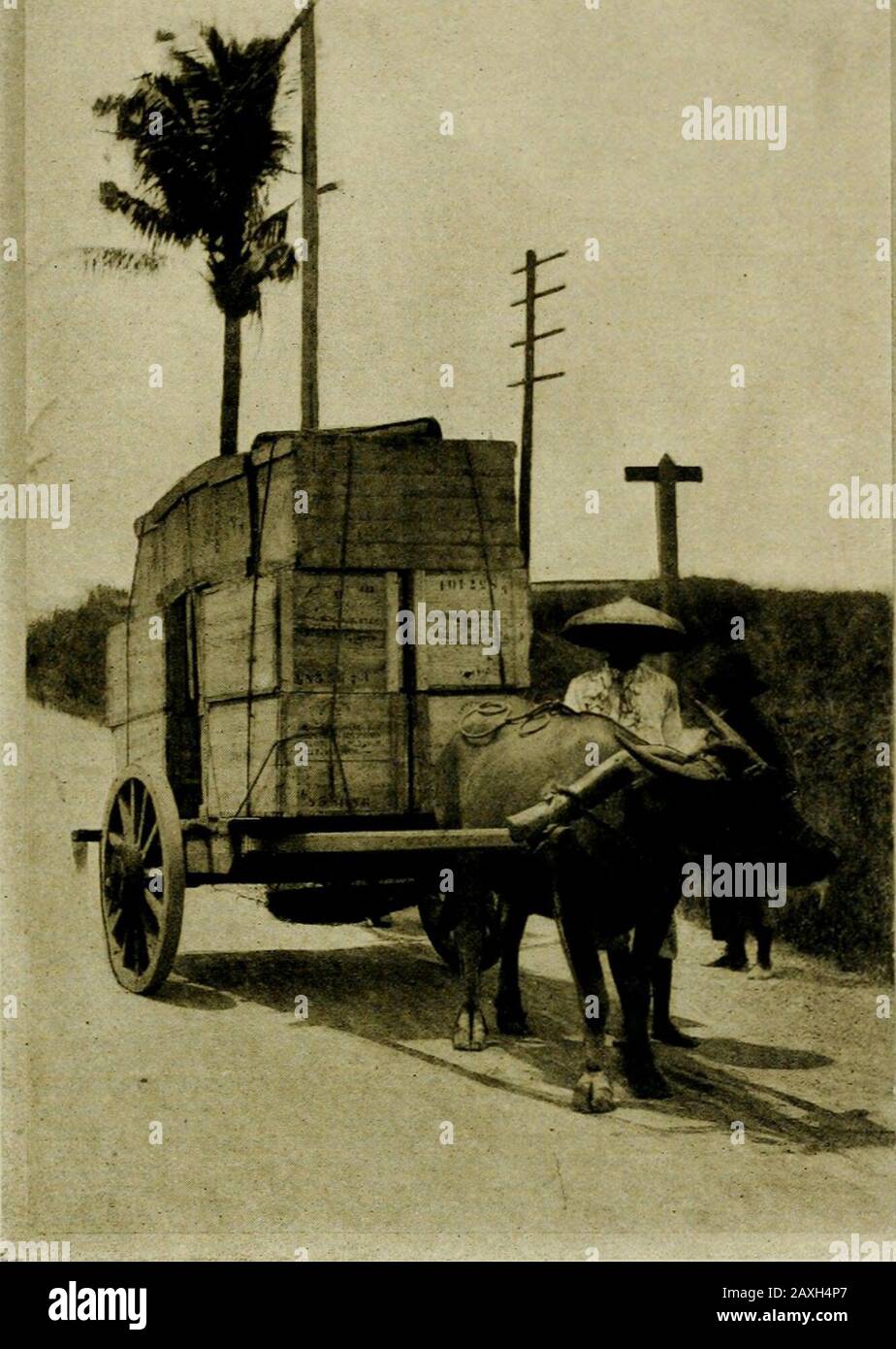 The critic in the Occident . PLATE XXIIA Filipino Peasant Girl on ...