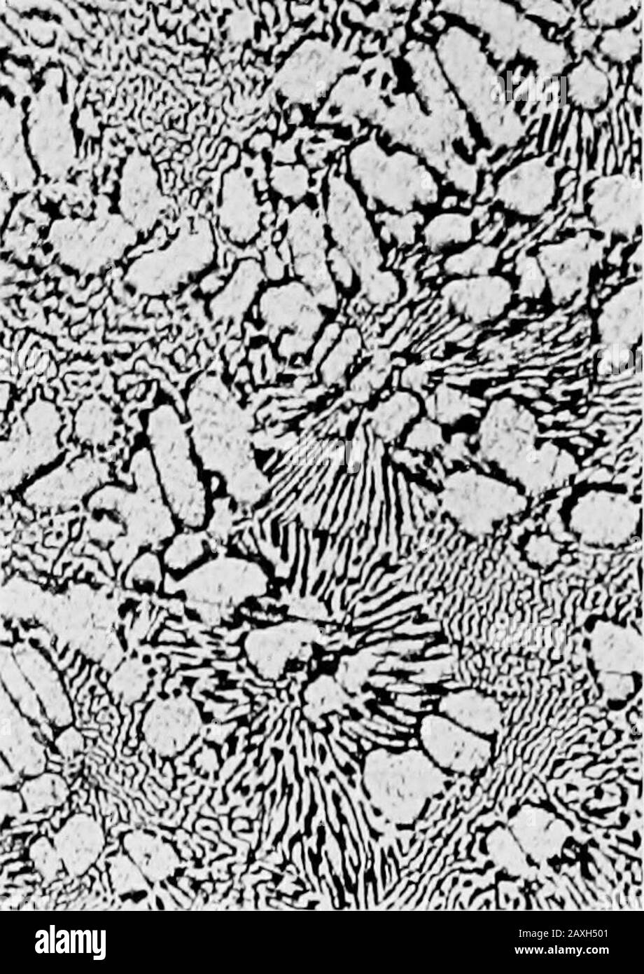 Metallurgy; an introduction to the study of physical metallurgy . ^r ...