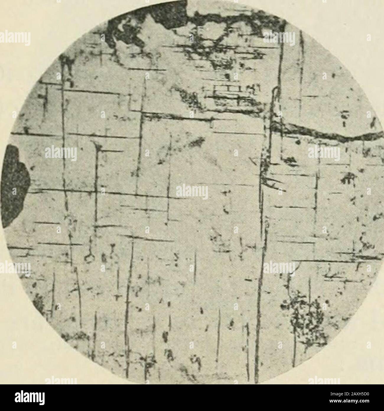 Minerals in rock sections; the practical methods of identifying ...