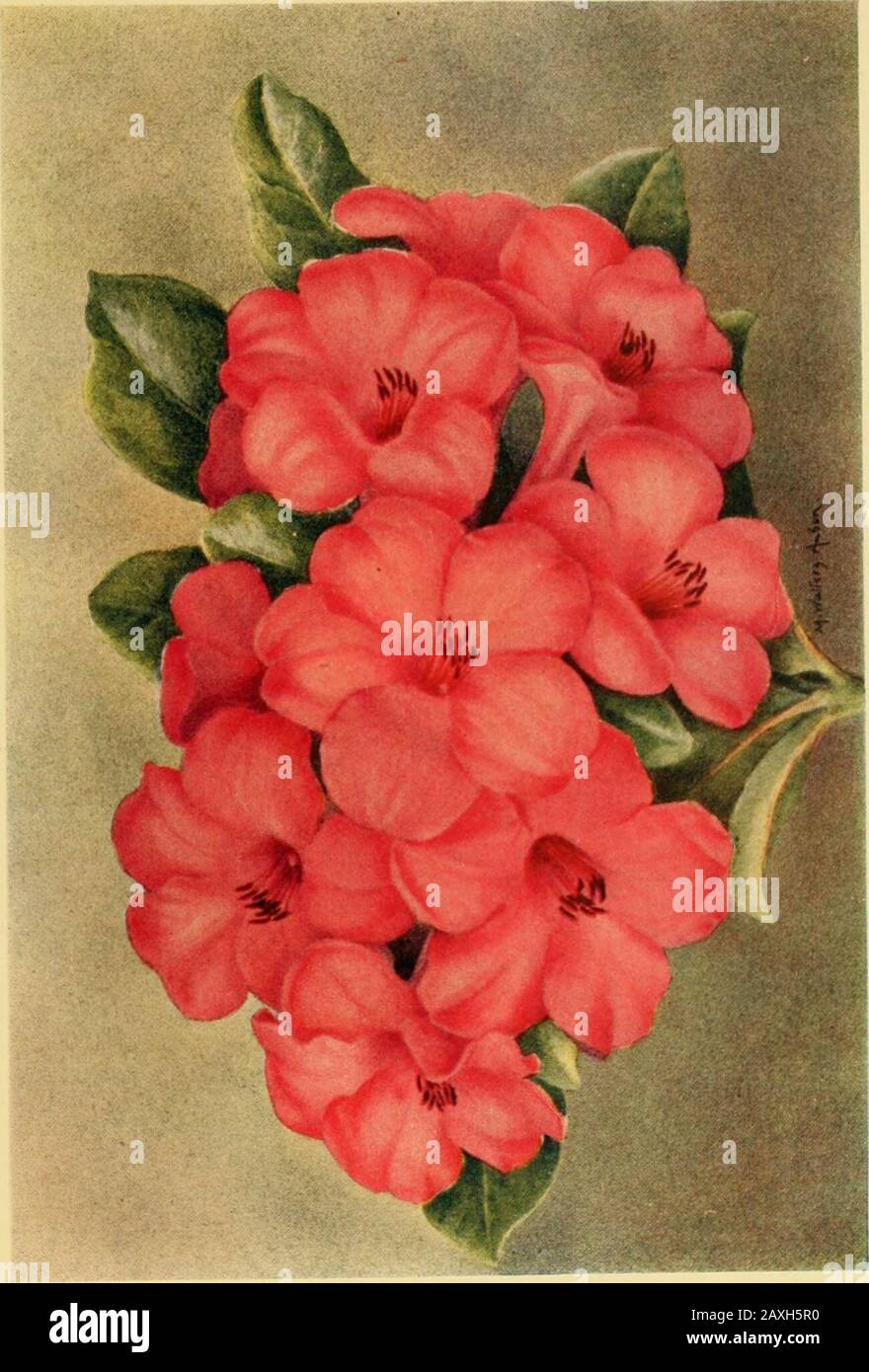 Adding manure to soil hi-res stock photography and images - Alamy