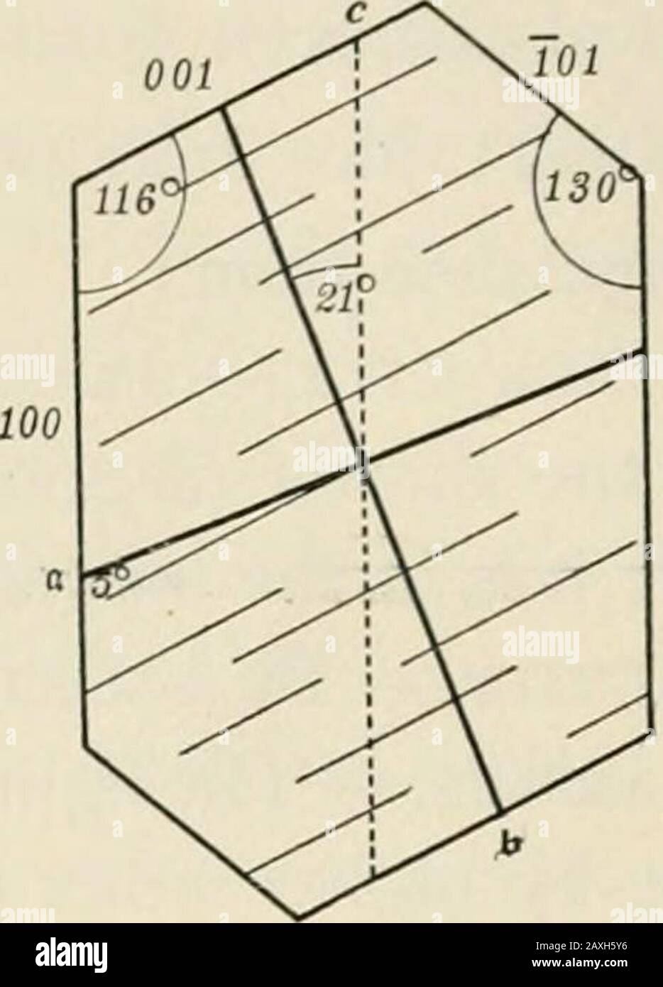 Minerals in rock sections; the practical methods of identifying ...