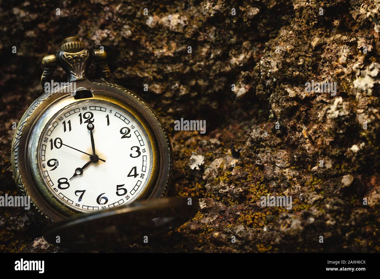 Vintage old pocket watch placed on the rock in forest and morning ...