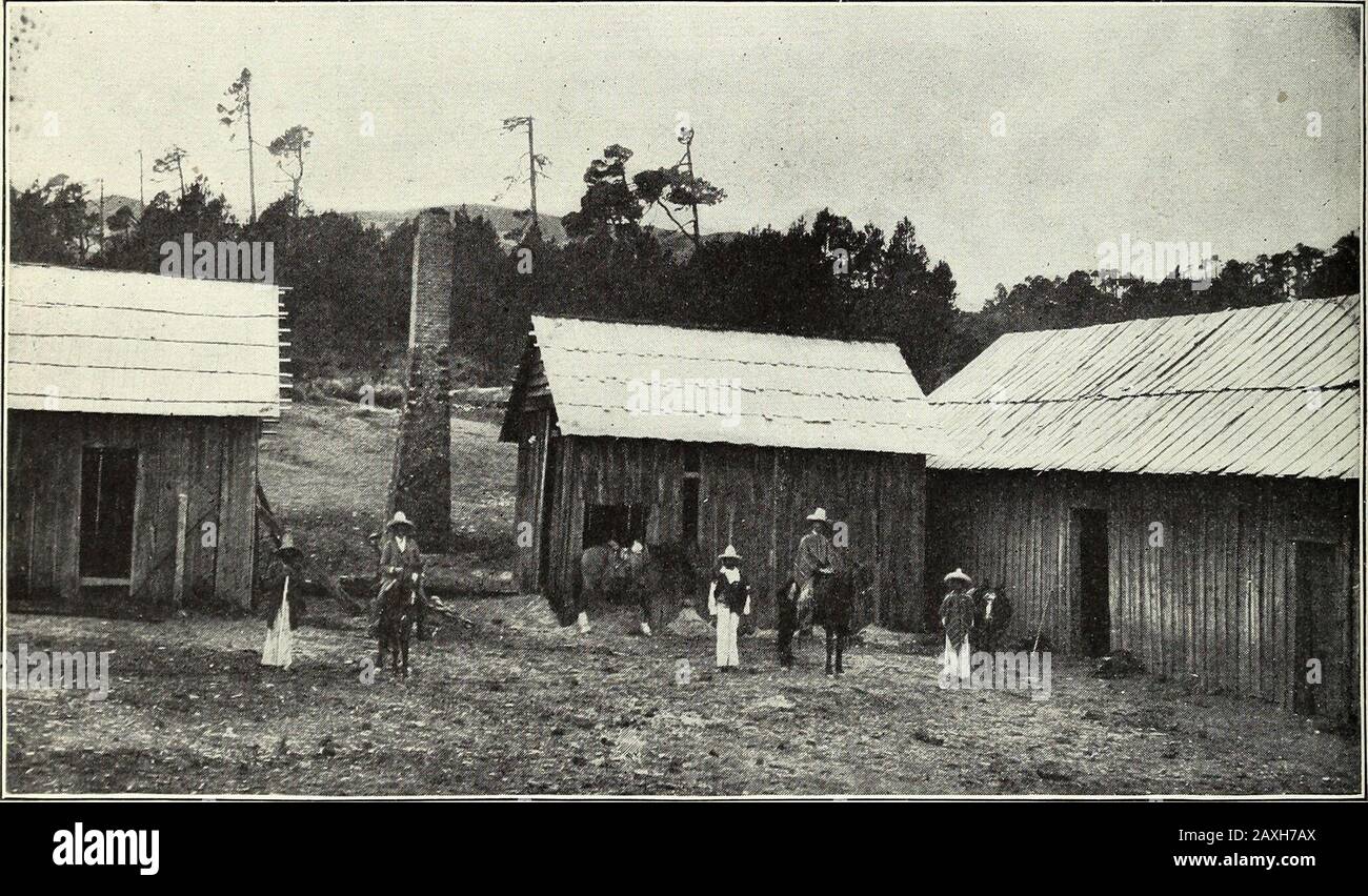 Friars cap hi-res stock photography and images - Alamy