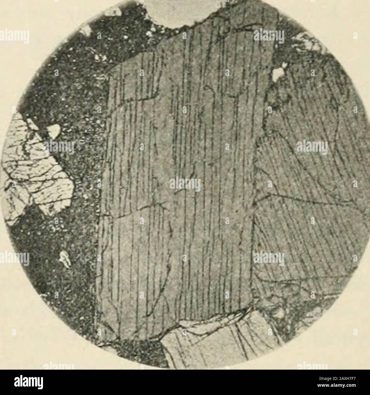 Pyroxene Cleavage 100% Genuine | brunofuga.adv.br