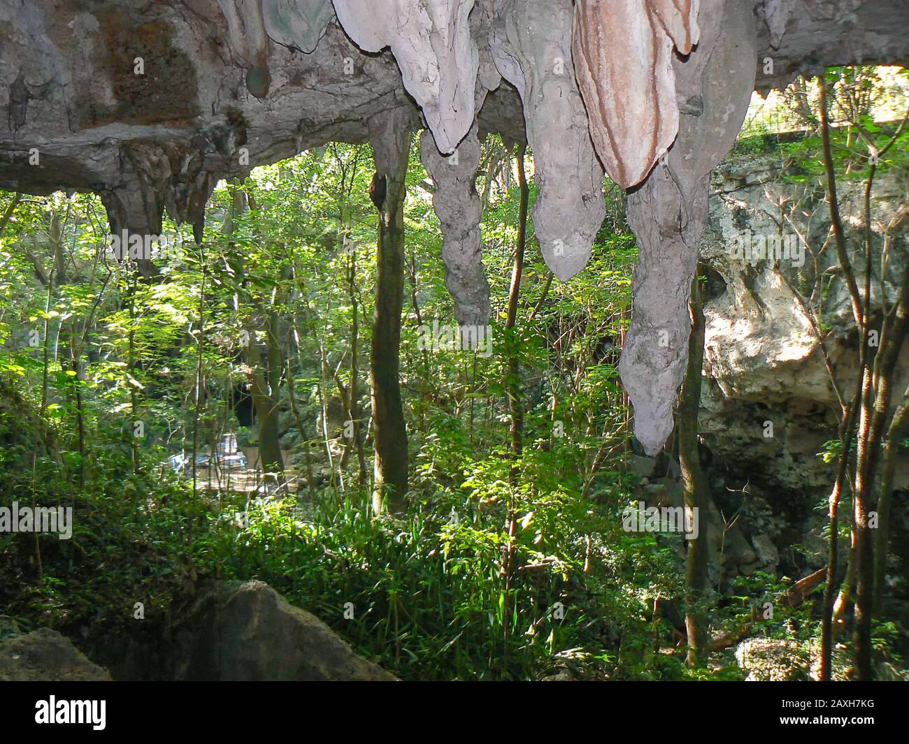 Limestone rock formations at a cenote in the Dominican Republic Stock ...