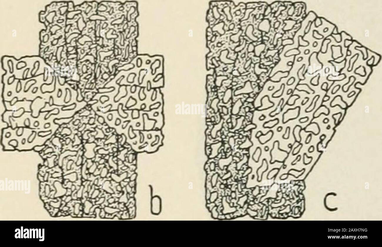 Prismatic cleavage hi-res stock photography and images - Alamy