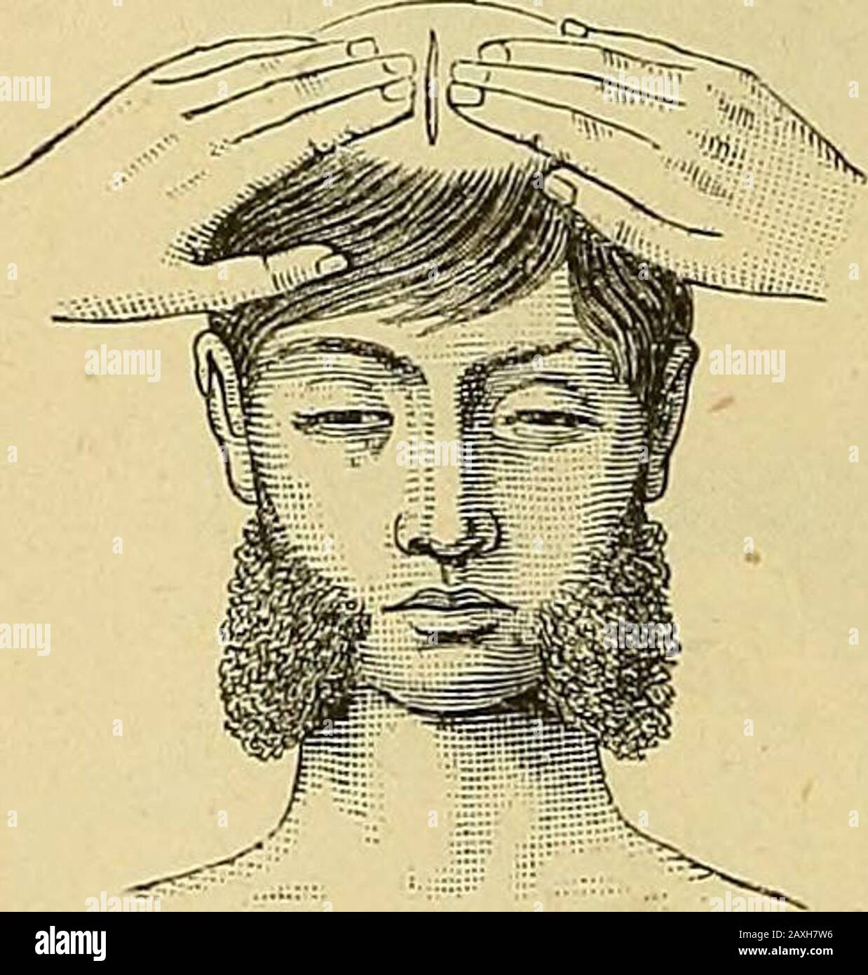 Carefully incised hi-res stock photography and images - Alamy