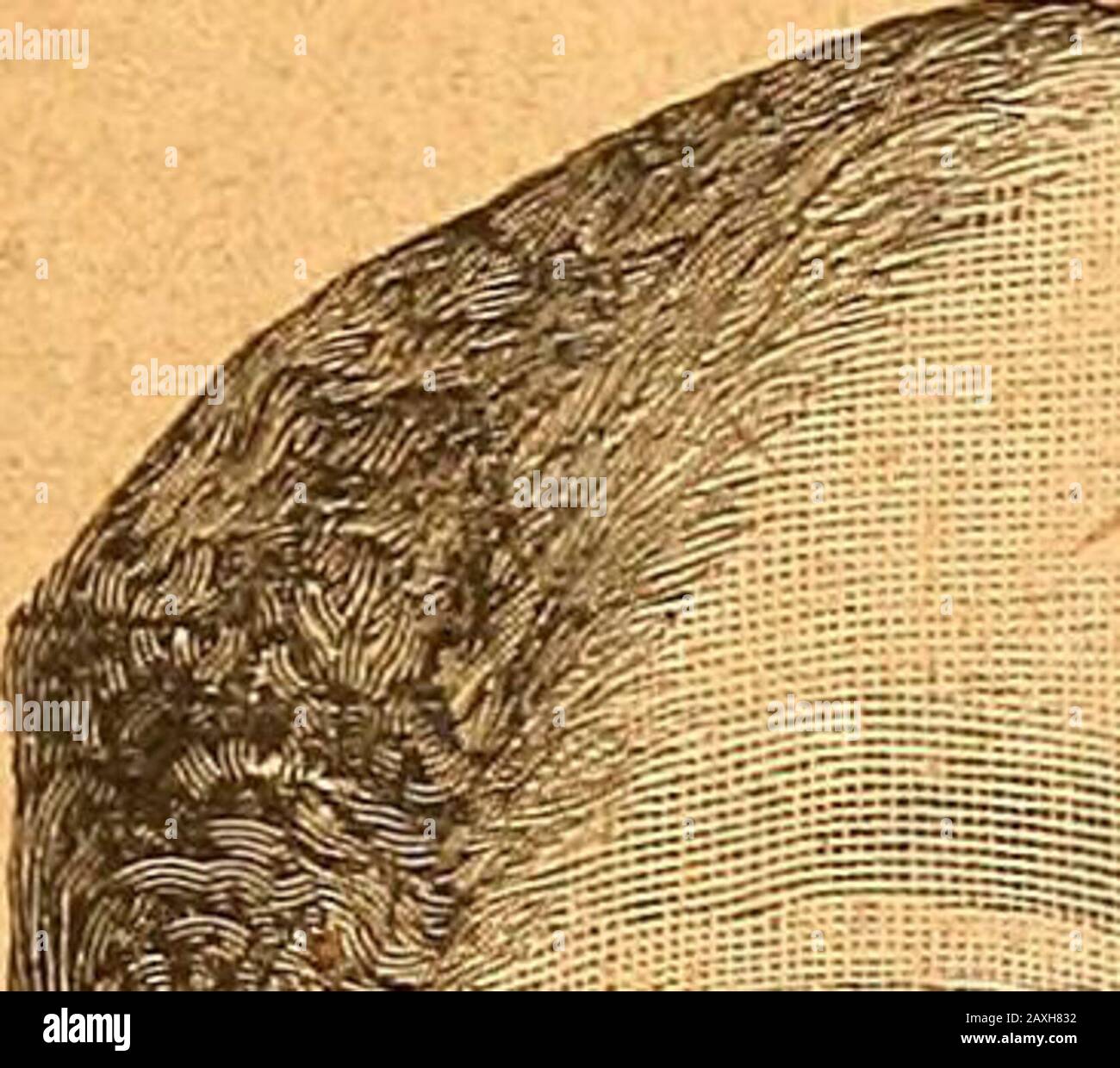 Zustande High Resolution Stock Photography and Images - Alamy