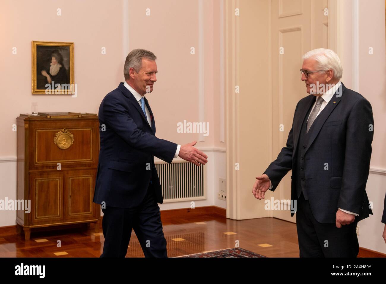 Christian Wilhelm Walter Wulff , Frank-Walter Steinmeier beim Defilee ...