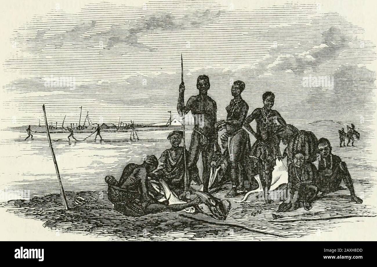Africa . XAMAQUA AND DAMARA LAND. 445 guano. Ichaboe and Possession ...